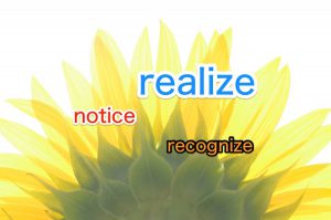 【アメリカ人が解説】「気づく」は英語で？ realize, recognize, noticeの違い | アメリカ人英語講師ローラが解説｜英会話｜初中級者専門｜