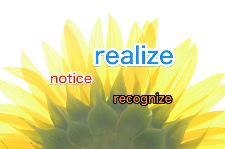 【アメリカ人が解説】「気づく」は英語で？ realize, recognize, noticeの違い | アメリカ人英語講師ローラが解説｜英会話｜初中級者専門｜